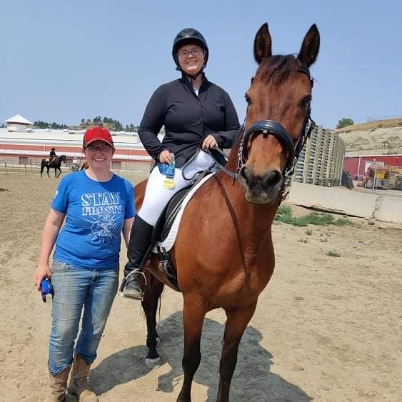 Geldings – Bay Acres Morgan Farm